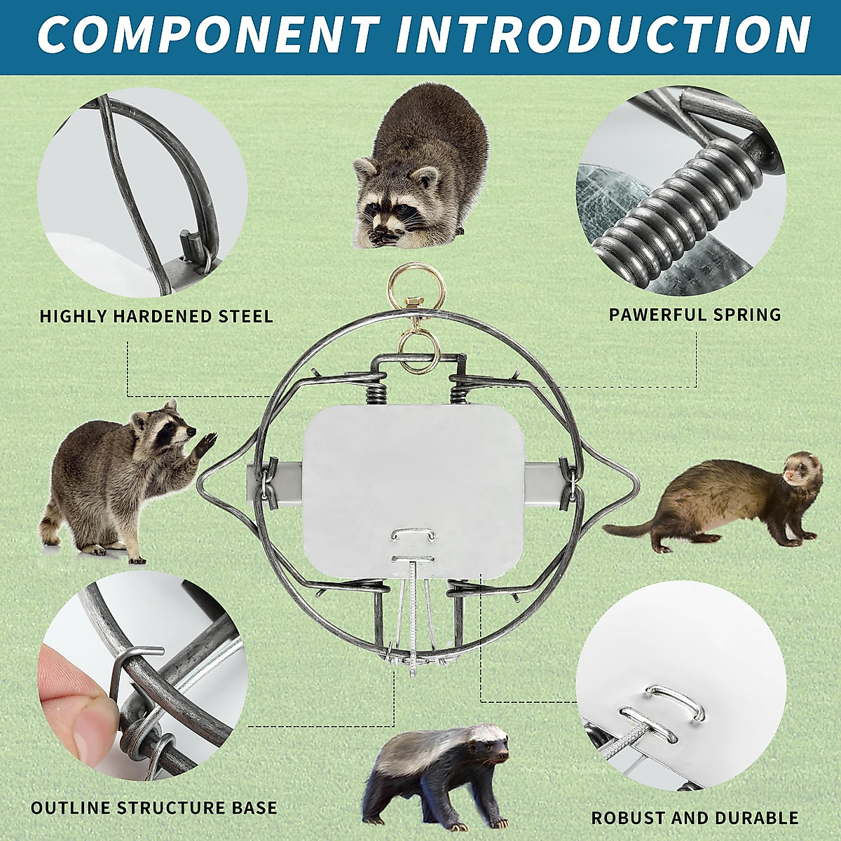 2Pack Live Animal Traps,Animal Spring Traps, Animal Hunting Trap for Raccoon Rabbit Skunk Possum Coyote Fox,7 inches