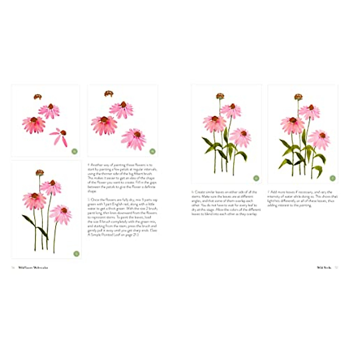 Wildflower Watercolor: The Beginner’s Guide to Painting Beautiful Florals