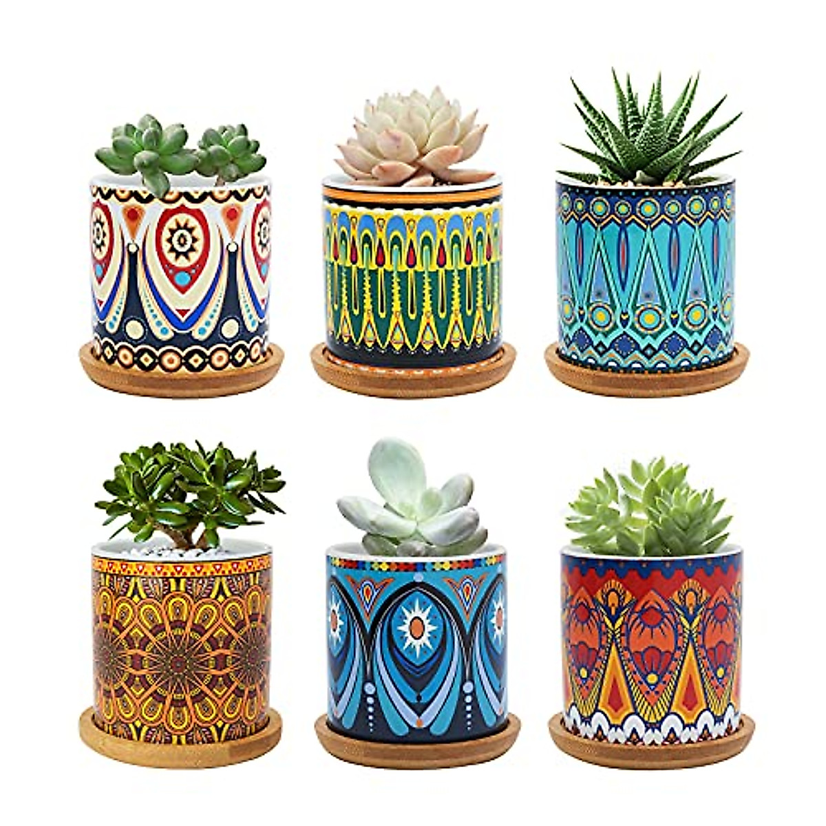 Warmplus Succulent Pots, 3 inch Mandala Planter Pot with Drainage and Bamboo Tray, Small Pots for All House Plants, Succulents, Flowers, Cactus, Pack of 6 - Plants Not Included