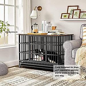 ITORI 48 inch XXL Heavy Duty Indestructible Dog Crate, Dog Cage Kennel Crate and Playpen for Training Large Dog Indoor Outdoor with Double Doors & Locks Design Included Lockable Wheels Removable Tray
