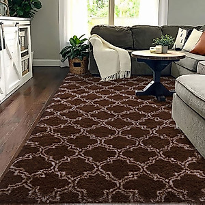 HOMORE Luxury Bedroom Rug, 4x6 Feet Area Rug for Living Room, Modern Fluffy Rugs, Soft and Comfy Rug for Kids Nusery Dorm and Home Office, Brown/Beige