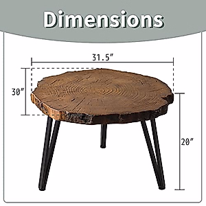 SUNBURY Outdoor Indoor Coffee Table, 31" Wooden Look Coffee Table, Concrete Outdoor Side Table, Modern Round Metal Coffee Table for Livingroom Bedroom, Garden, Backyard