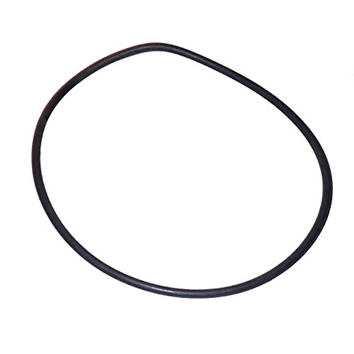 Swimline O Ring for Tank Flange Clamp