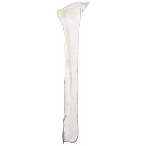 Craft A Brew FY-IVS0-Q6QL Grain Steeping Bags, Muslin - Bag 5, Beige