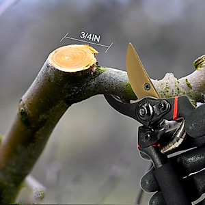 Professional Titanium Pruning Shears,Premium Bypass Pruning Shears for Gardening,Ideal Shrub Plant Scissors & Ergonomic Gardening Tool,Perfectly Cutting Through Anything in Your Yard.