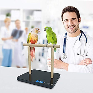 Digital Pet Bird Scale, Parrot Training Weight Scale with Perch, 0.05 Ounce Accuracy,70 Ounce Capacity, Easy Clean Black Glass Platform Suitable for Parrot and Macaws