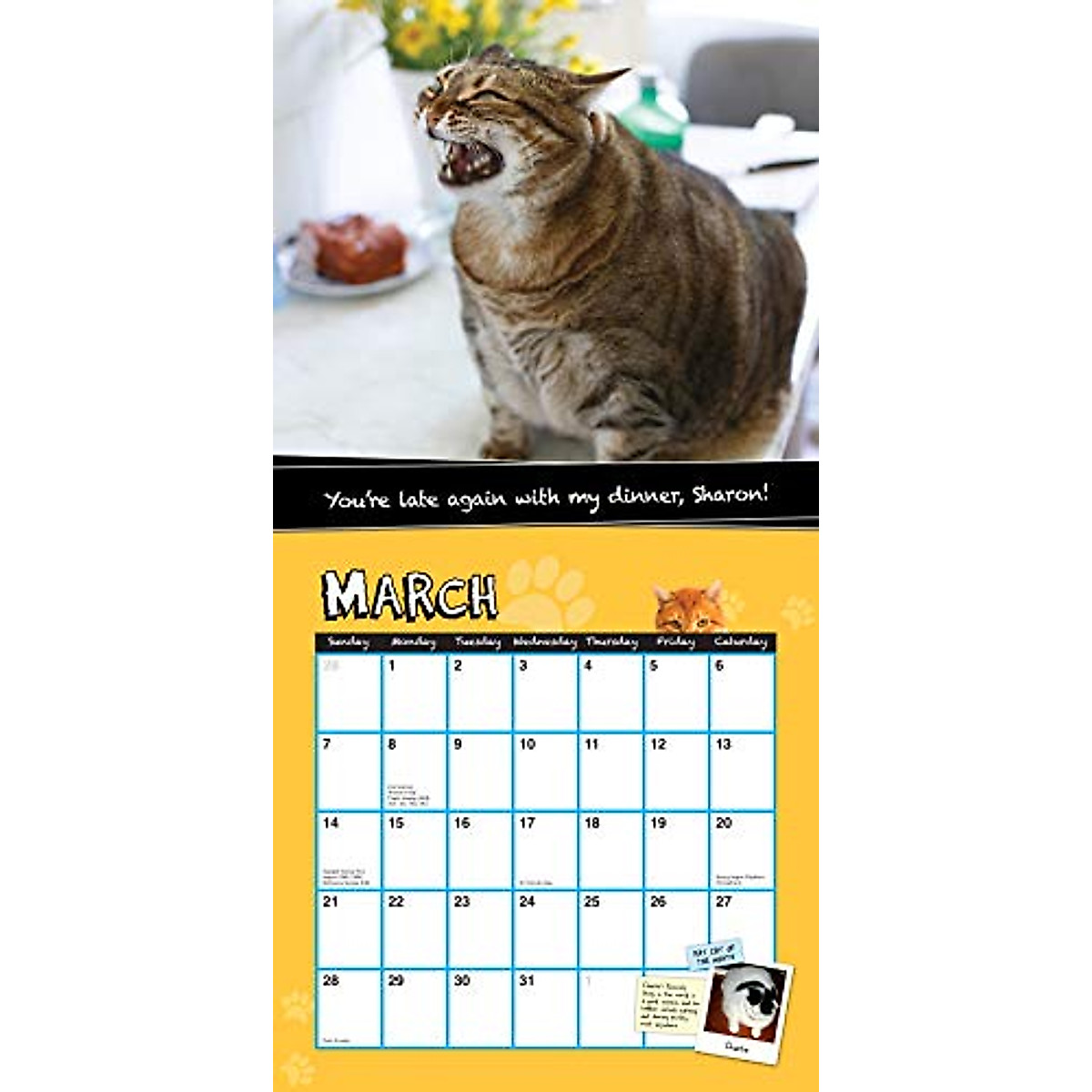 2021 Fat Cats Wall Calendar: A Monthly Calendar Full of Funny Felines and Hilarious Captions (The Perfect Funny Gift for Christmas and Cat Lovers)