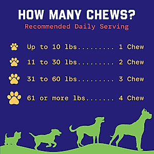 PupVital Multivitamin Treats for Dogs - Glucosamine for Joint Support + Salmon Oil for Skin & Coat Health + Immune Health - Roast Beef Flavor - 90ct