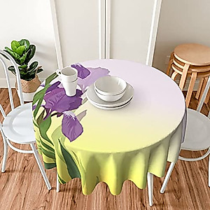 SARNFANS Spa Tablecloth,Basalt Stones Theraphy Relaxing,Round 60 x 60 Inch Table Cover Polyester Stain and Wrinkle Resistant Table Cloth for Kitchen Dining Coffee Party,Multicolor