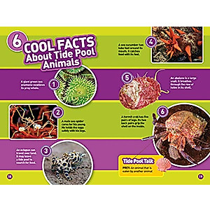 Tide Pools (National Geographic Kids Readers, Level 1)