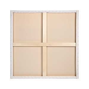 36x36 | 2 Pack | Stretched Gallery Artist Canvas | 1.5 Inch Deep | Premium Quality | Suitable for All Painting Mediums | Handcrafted in North America