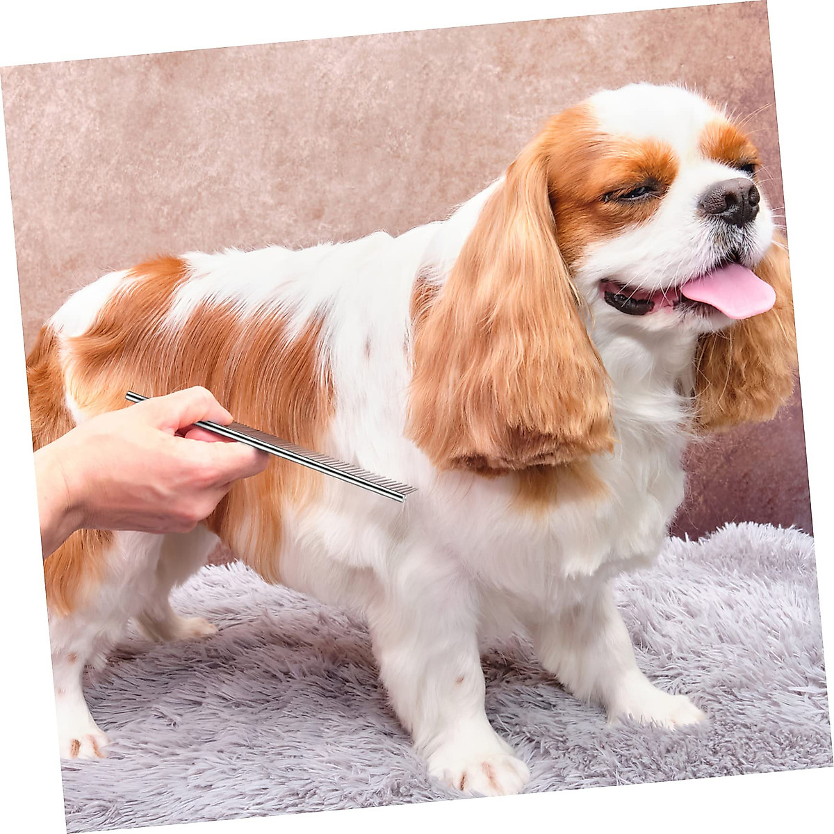 3pcs Pet Grooming Comb Set Combs Grooming Kit Dog Eye Wipes Angel Eyes for Dogs Grooming Comb Kit for Pets Tear Stain Remover Comb Cat Comb Cat Grooming Comb Dog Brush Plastic Balacoo