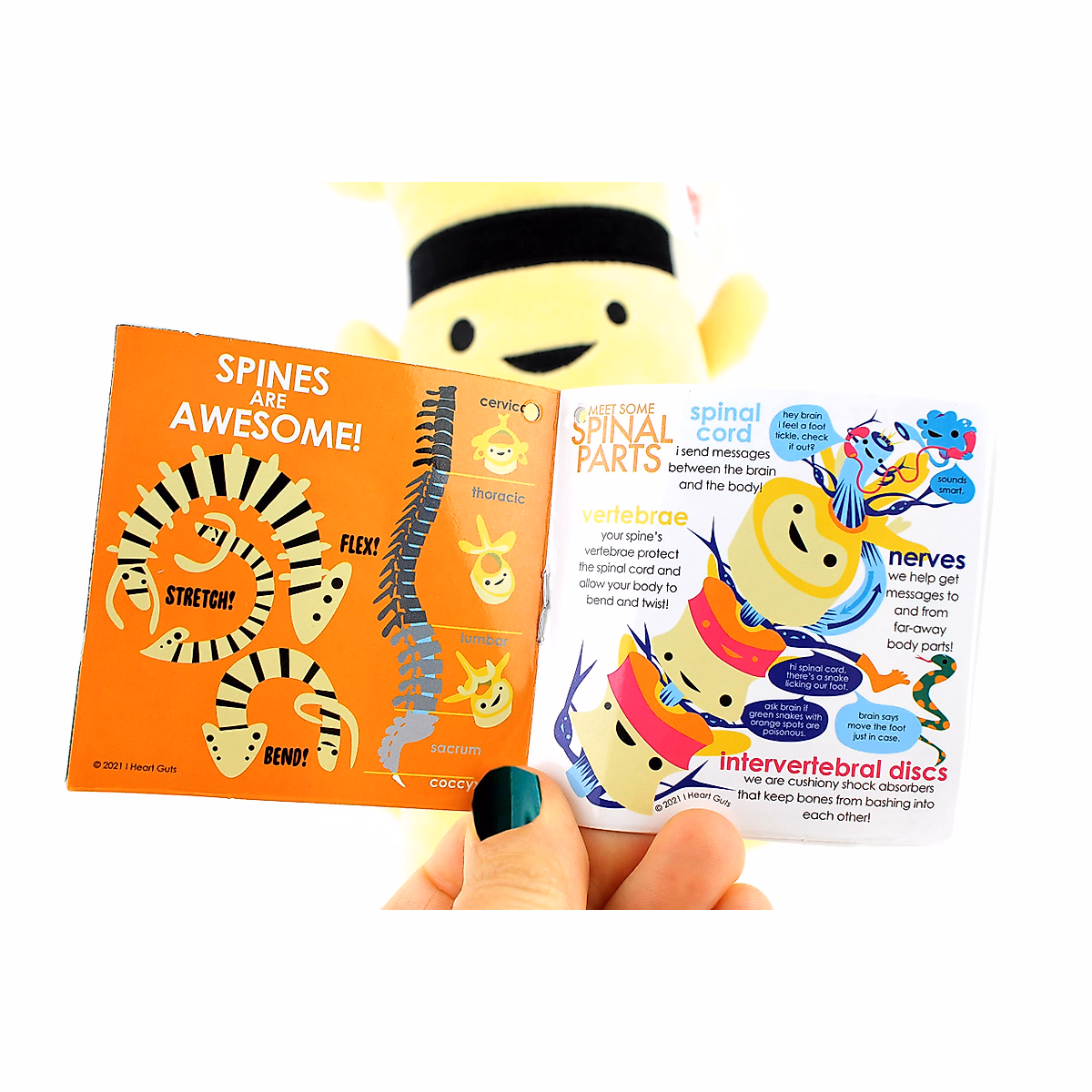 I Heart Guts Spine Plush - Got Your Back - Stuffed Flexible Backbone Vertebrae - Back Surgery Recovery Gifts, Spine Surgeon Gifts for Spinal Cord Injury, Scoliosis, Orthopedic Doctors, & Chiropractors