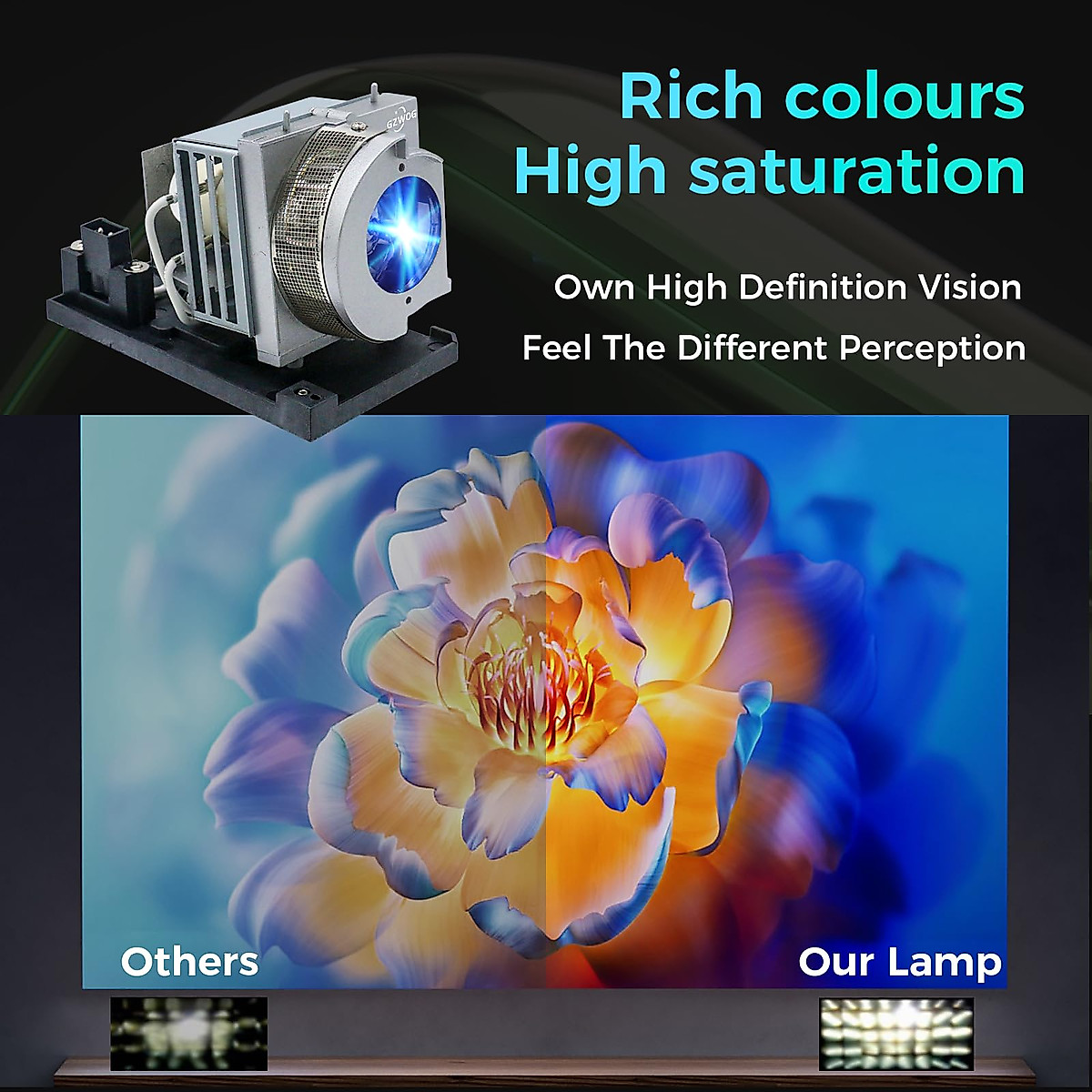 Gzwog 1026952/NP34LP/BL-FU260B/SP.72701GC01 Replacement Projector Lamp Bulb with Housing for SMARTBOARD U100 U100W NEC NP-U321Hi-TM NP-U321Hi-WK NP-U321H-WK/U322Hi OPTOMA EH319USTi EH320USTi X320USTi