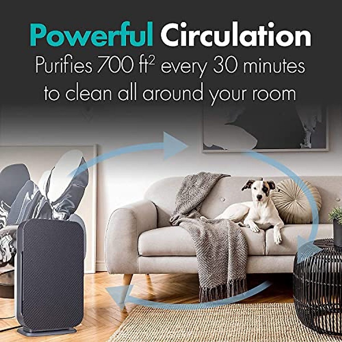 Alen BreatheSmart FLEX HEPA Air Purifier, Medical Grade Filtration H13 True HEPA for 700 SqFt, 99.9% Airborne Particle Removal, Air Purifier for Allergens, Dust, Mold, Pet Dander, (Brushed Stainless)