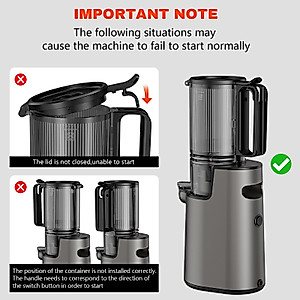 LQZ Cold Press Juicer,Slow Masticating Juicer Machines,350W Juice Extractor Machine,5.3" Large Bore Feed Chute Fit Whole Vegetables and Fruits,Easy to Clean Juicer（Black）