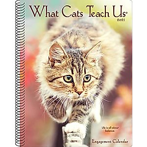 What Cats Teach Us 2021 Engagement Calendar