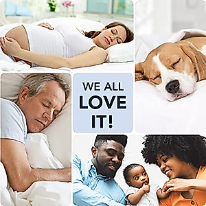 Full Size Mattress Protector 2 Pack Waterproof Mattress Cover Soft Breathable Noiseless Full Mattress Pad Cover Quilted Fitted with Deep Pocket Bed Covers for Pets Kids Adults Full 54"x 75"