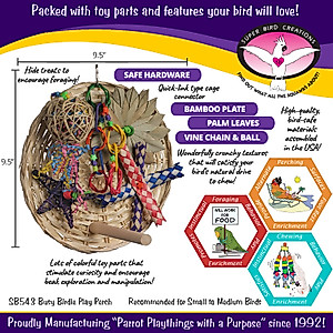 Super Bird Creations SB543 Busy Birdie Play Perch Bird Toy, Small/Medium Bird Size, 9.5" x 9.5" x 6"