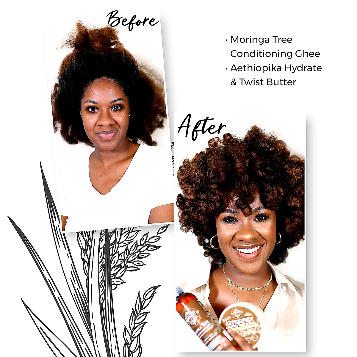 Qhemet Biologics Moringa Tree Conditioning Ghee - Lightweight Detangling Condition - Softens Moderately Dry Hair Without Weighing Down - Perfect for Stretching Tight Kinks & Coils (8 oz)