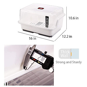 Tomorotec Medium Size Dish Drying Rack and Drain Board with Lid Cover, 16" x 12.2" x 10.6" Nursing Bottle Holder, Kitchen Plate Cup Dish Drying Rack Tray Cutlery Dish Drainer