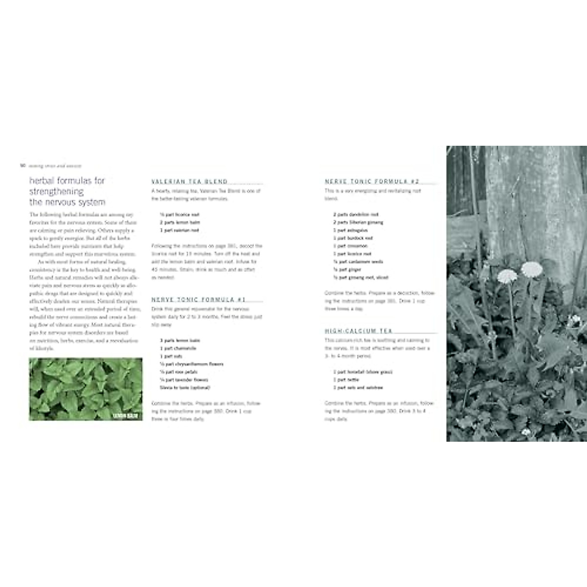 Rosemary Gladstar's Herbal Recipes for Vibrant Health: 175 Teas, Tonics, Oils, Salves, Tinctures, and Other Natural Remedies for the Entire Family