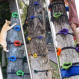 KINSPORY 16PC Tree Climbing Holds and 6pc Tree Ratchet Straps Climber Kit, Oversized Pig Nose Climb Rock Holds Kit for Outdoor Ninja Warrior Obstacle Course Training