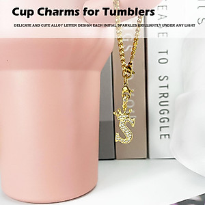 LUHOHI Cup Charms for Stanley Handle- Crown Letter Charms Accessories for Stanley Handle 40 Oz Tumblers Gold Initial Keychain Water Bottle Cup with Diamond Glitter Jewelry Personalized Decorations C