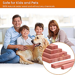 Homode Cedar Blocks for Clothes Storage, 50Pcs Cedar Sticks, Aromatic Red Cedar Wood Chips, Cedar Planks for Closets, Drawers, Wardrobe