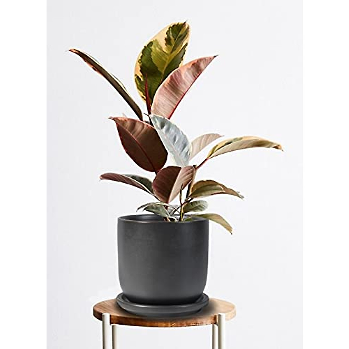 Serene Spaces Living Large Classy Matte Black Ceramic Pot with Drainage Holes and Saucer for Plants and Flowers, Decorative Outdoor/Indoor Planters, Measures 6" Diameter & 5.75" Tall
