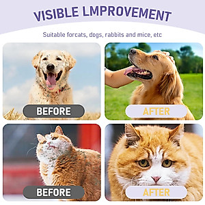 Pet Cleaning Glove Bathing Wipes for Dogs and Cats, Hypoallergenic Deodorizing No-Rinse Grooming Wipes for Paws, Body, and Butt, Perfect for Cat Dry Cleaning, Daily Care and Travel, Lavender, 8 Pcs