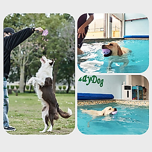 3-in-1 Dog Toy, Floating Dog Toy,Dog Water Toy for Pool & Beach, Dog Chew Teeth Cleaning Toy for Aggressive Chewers,Natural Jellyfish Leaky Food Toy for Large Medium Small Dog (2 Pack)