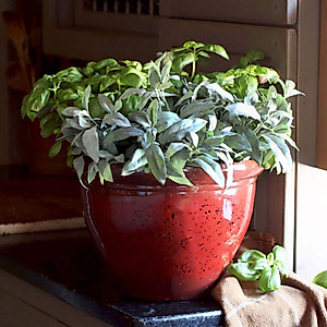 The HC Companies 12 Inch Pizzazz Decorative Round Planter - Lightweight Premium Resin Plant Pot with a Ceramic Look for Indoor Outdoor Use, Warm Red