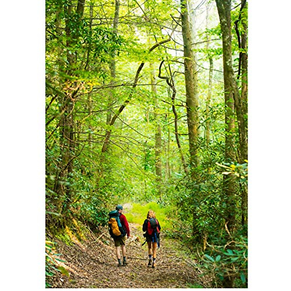 FITS Light Hiker – Crew: Contour Hugging Cushioned Outdoor Socks for Hiking, Camping, Trekking, Fishing Ocean, Medium