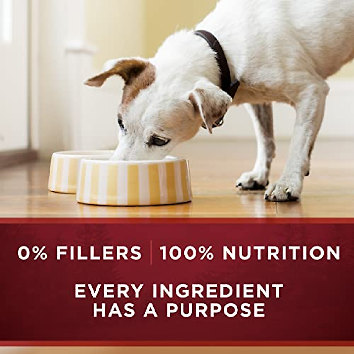 Purina ONE Wet Dog Food True Instinct Classic Ground Grain-Free Formula With Real Turkey And Venison High Protein Wet Dog Food - (Pack of 12) 13 oz. Cans