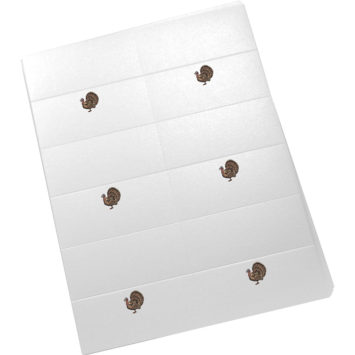 Thanksgiving Turkey Printable Place Cards, Set of 60 (10 Sheets), Laser & Inkjet Printers - Wedding, Party, Dinner, and Special Events - Made in the USA