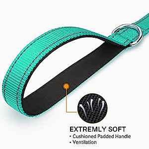 Joytale Double-Sided Reflective Dog Leash, 6 FT/5 FT/4 FT, Padded Handle Nylon Dogs Leashes for Medium & Large Dogs Walking, Teal, 6FT