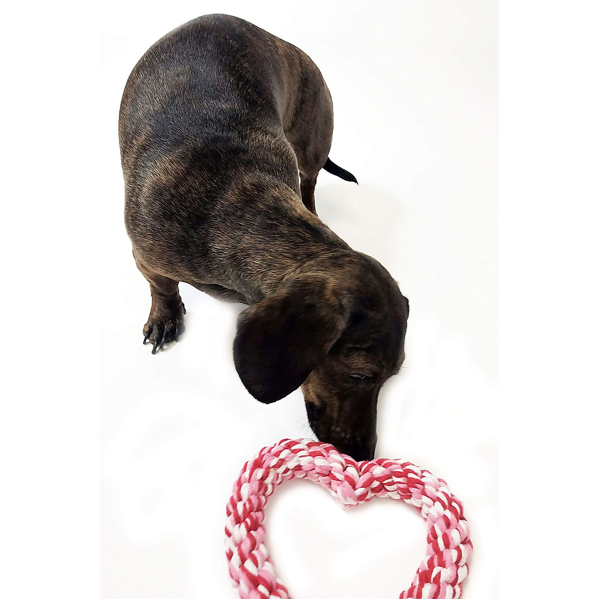 Midlee Valentine's Heart Rope Dog Toy (6" x 6")- Pink, Red, White Cotton Chew Gift