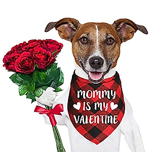 JOTFA 2 Pack Valentine’s Day Dog Bandanas, Plaid Dog Puppy Valentines Bandana Scarf for Small Medium Large Dogs Pets (Red & Pink)