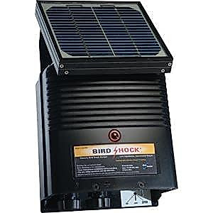 Bird Barrier Solar Charger – 12V Solar Power Bank with Bottom Connectors – Powers 500ft Track – User-Friendly On Off Switch – Ideal Solar Battery Charger for Smaller Projects