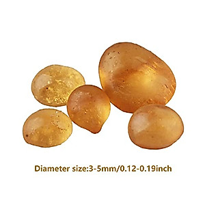 lovermusic lovermusic Animal Glue Luthier Hide Glue Replacement for Violin Maker 60G