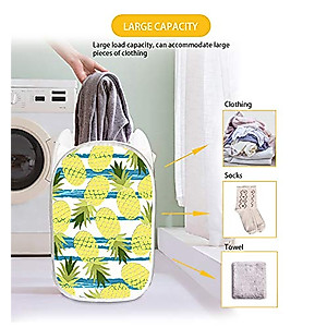 Frestree Bedroom Livingroom Dorm Pop-up Laundry Hamper Green Frog Print Home Travel Decor Kids Adults Dirty Clothes Big Capacity Collapsible Laundry Basket