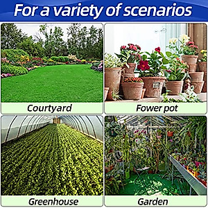 WISSXNA 300PCS Barbed Connectors Drip Irrigation Fittings Kit,Irrigation Connector for 1/4'' Tubing Garden Lawn Irrigation(Single barbs,End Plug,Barbs, Elbows Fittings,4-Way Connector,Tees,Coupling)