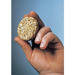 Bradley Smoker Bisquettes For Grilling and BBQ, Alder Special Blend, 48 Pack