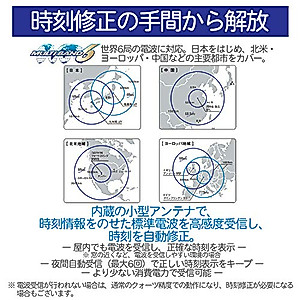 Casio] Watch Collection [Japan Import] STW-1000-8JH Gray