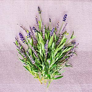 AeroGarden Lavender Seed Pod Kit (7-Pod), Multi-Color