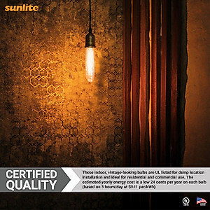 Sunlite LED Filament T10 Tubular Light Bulb, 2 Watts (25W Equivalent), 160 Lumens, Medium E26 Base, 120 Volts, Dimmable, 90 CRI, UL Listed, Clear, 2700K Soft White, 1 Pack