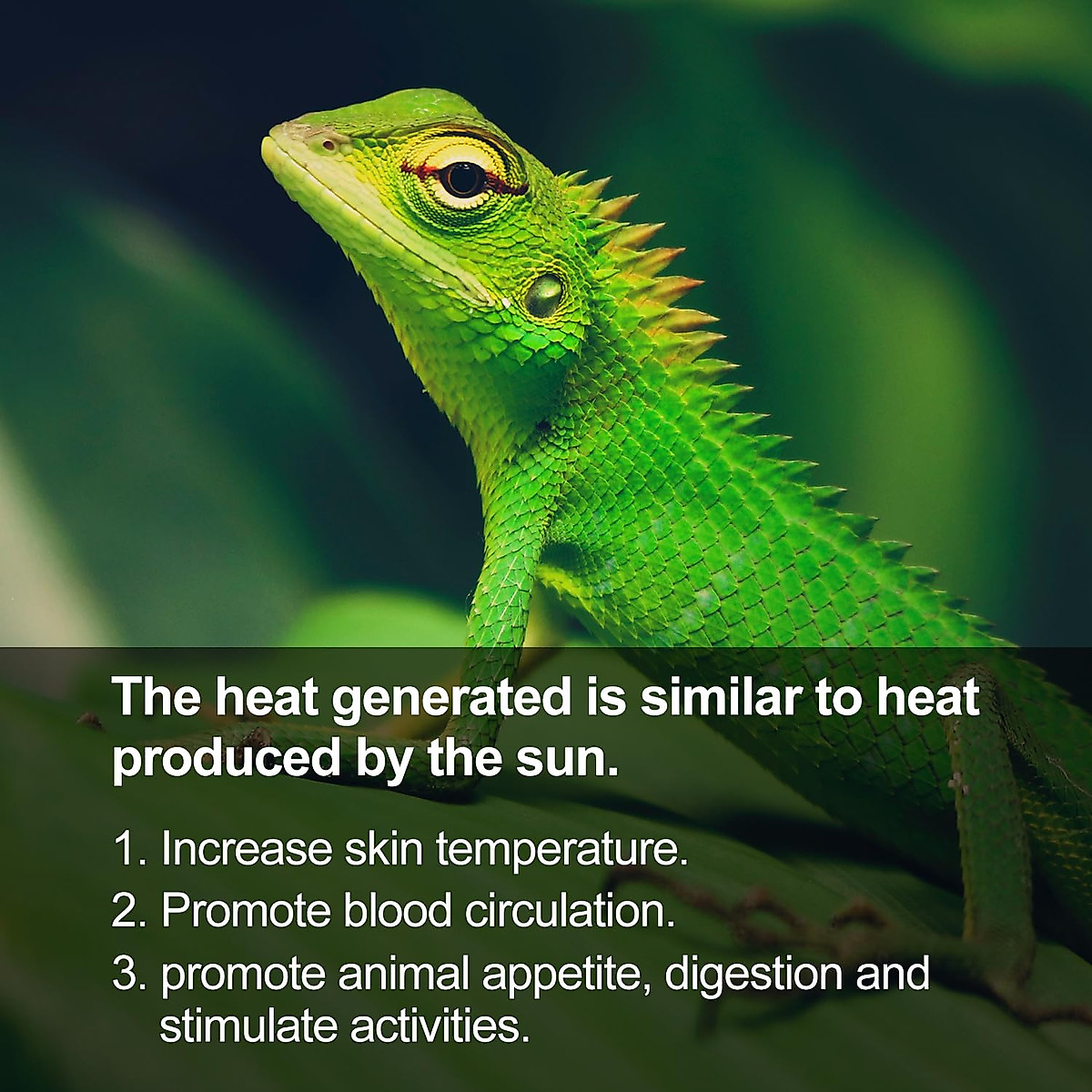 REPTI ZOO Reptile Basking Heat Lamp Bulb, 50W Splashproof Energy Saving Deep Heater Non-Luminous Carbon Infrared Heat Bulb for Reptile Amphibians