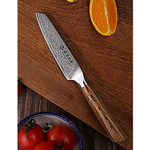 Paring Knife 3.8Inch Damascus Steel Knife Professional Super Steel VG10 Comfortable Ergonomic Wood Grain Handle Very Sharp Paring Knives for Kitchen–Gift Box