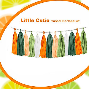 25PCS Little Cutie Baby Shower Decorations Citrus DIY Tissue Tassel Garland Banner Tangerine Clementine Orange Themed Birthday Party Wedding Backdrop Nursery Wall Garden Hanging Décor